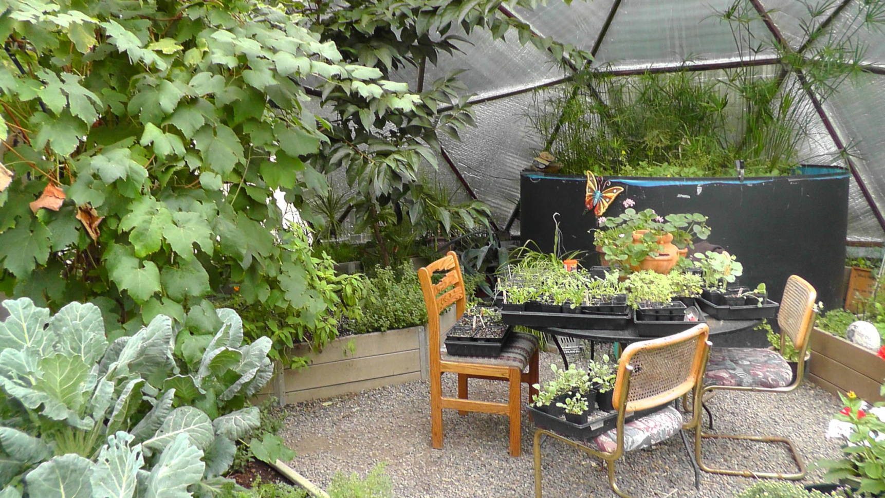 Greenhouse Gardening Best Practices - Growing Spaces Greenhouses