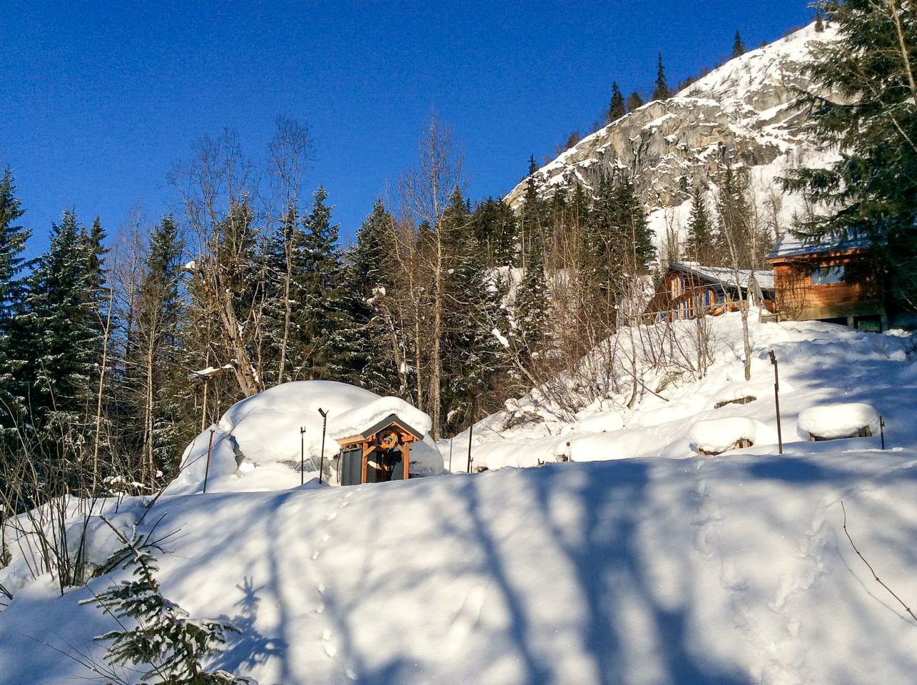 Growing Vegetables in Alaska Hardiness Zone 6A : Growing Spaces Greenhouses