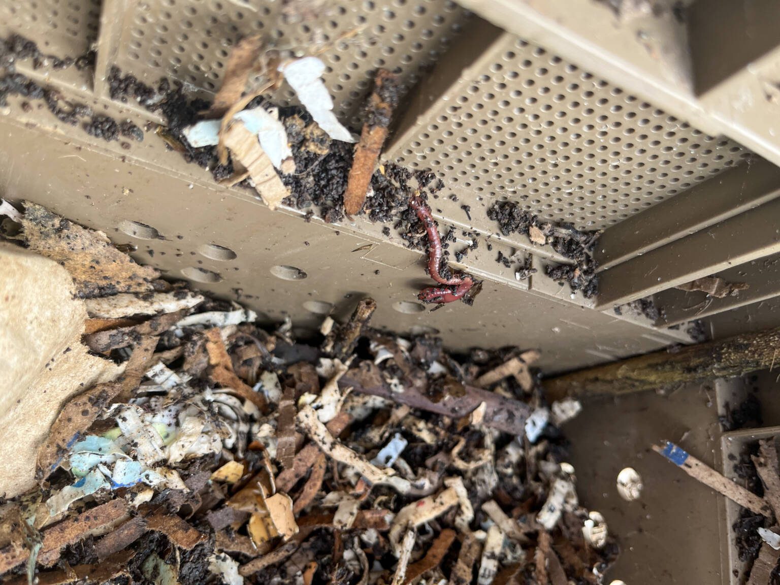 Vermiculture, Vermicomposting, and How to Do It - : Growing Spaces ...