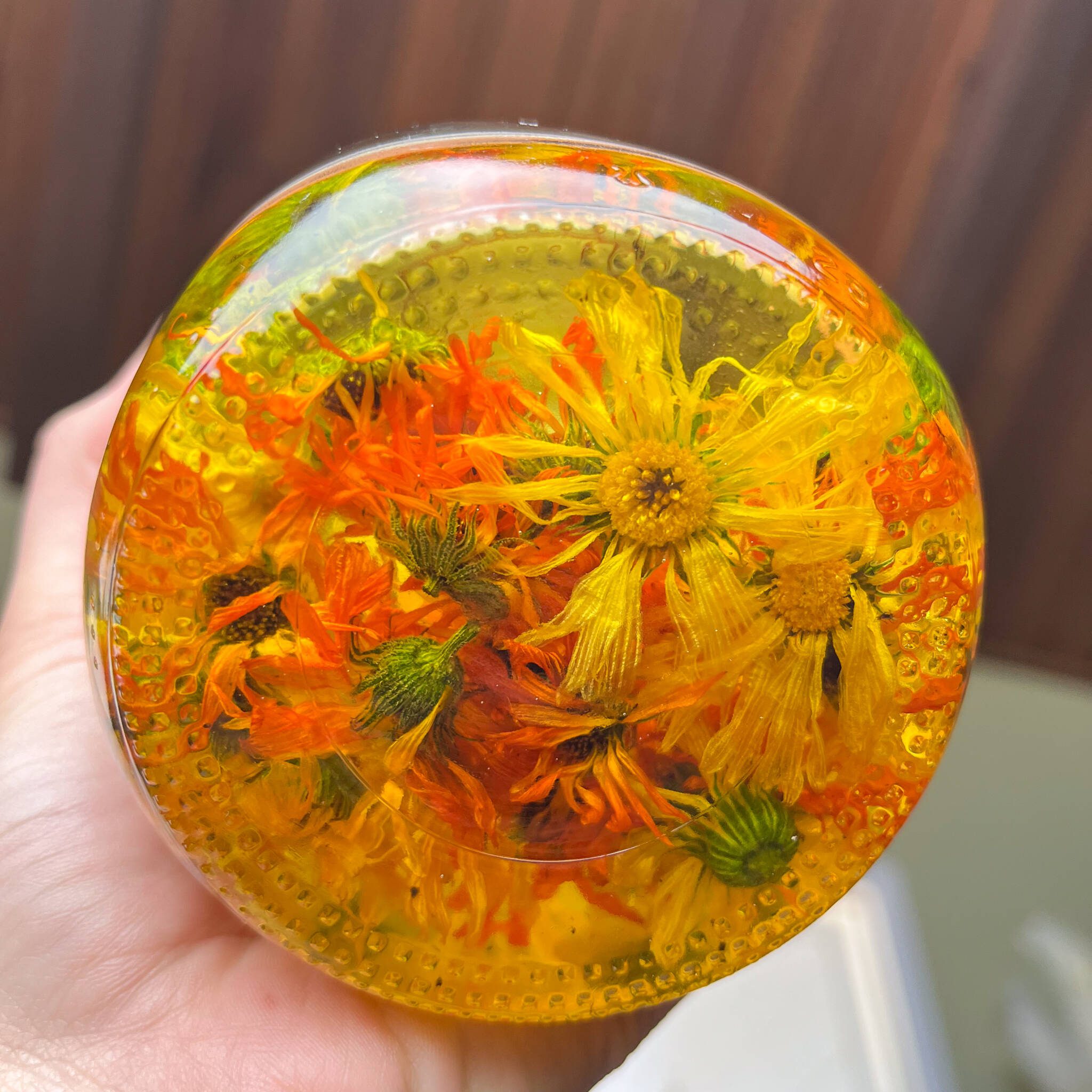 How to Make the Best Calendula Lotion Recipe and Bug Repellent Salve ...